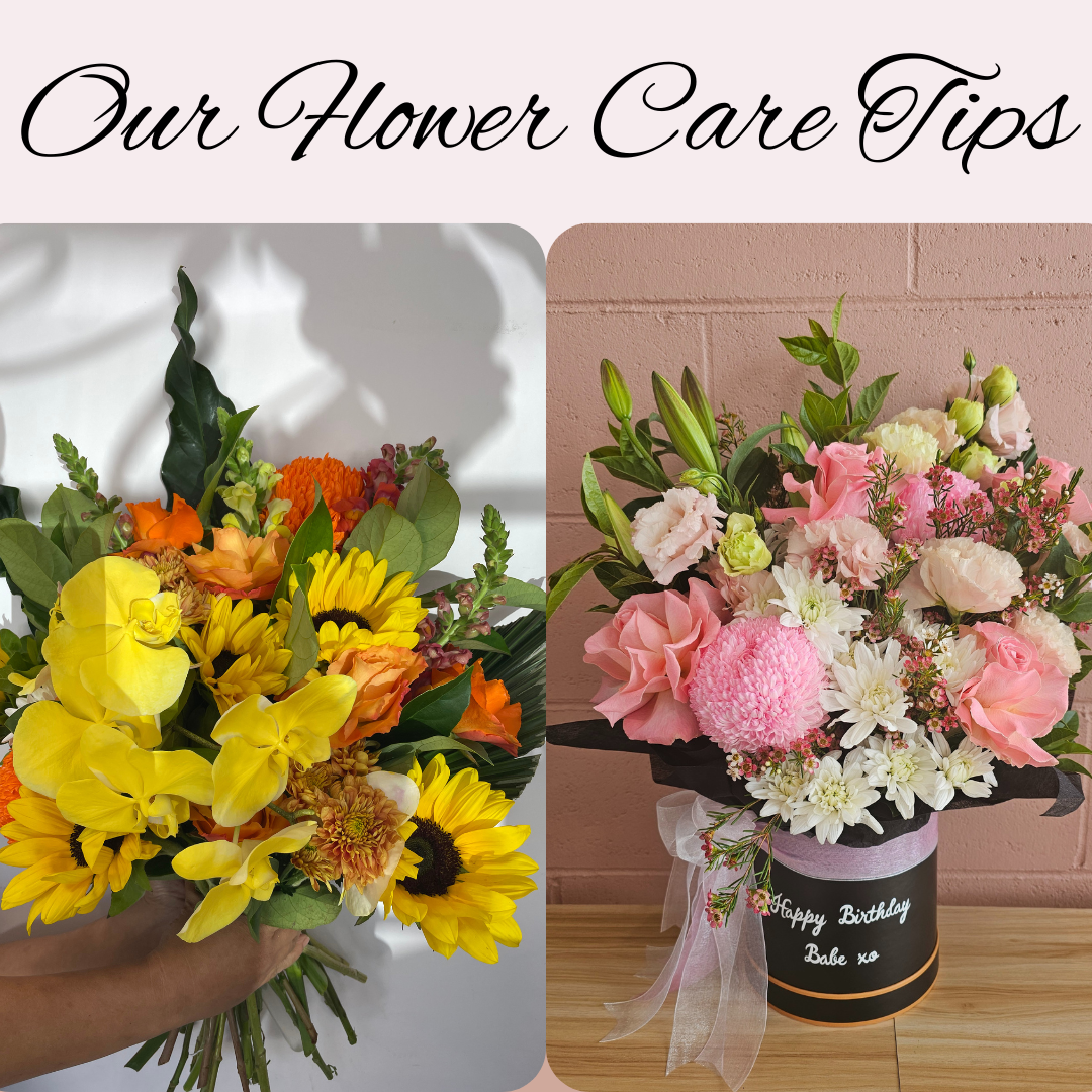 How to Care for Your Fresh Flowers | The Flower Boutique Perth ...